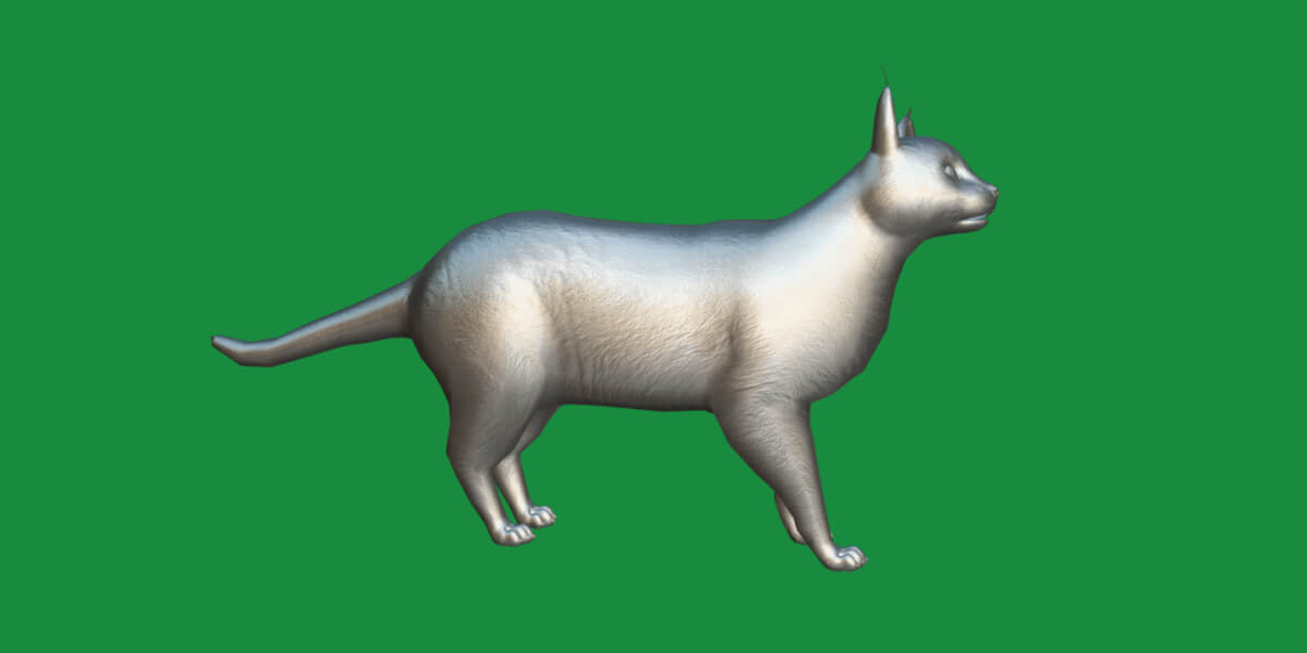 Caracal Wild Cat - 3D Model by Nyilonelycompany