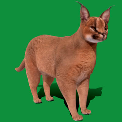 Glb 3D Models | Animals | Cats | RenderHub