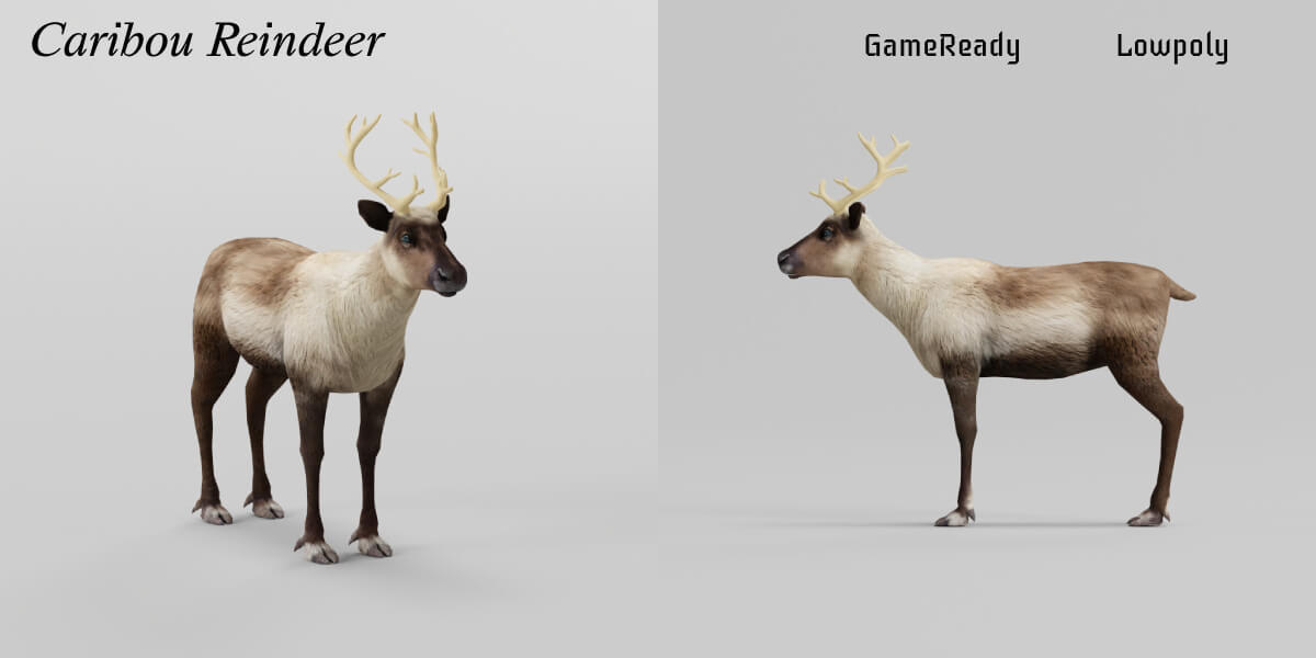 Caribou Reindeer Animals - 3D Model by Nyilonelycompany