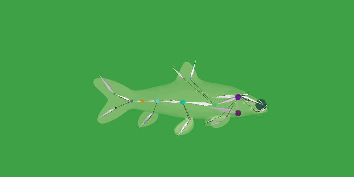 Clown Loach Ulanguli Fish - 3D Model by Nyilonelycompany