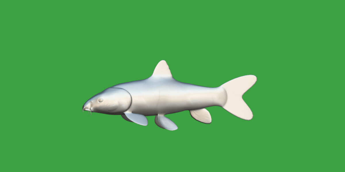 Clown Loach Ulanguli Fish - 3D Model by Nyilonelycompany