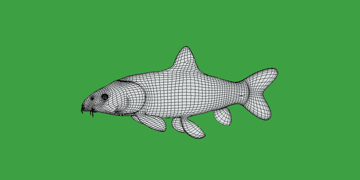 Clown Loach Ulanguli Fish - 3D Model by Nyilonelycompany