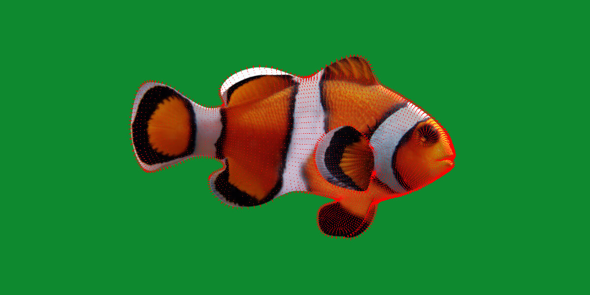 Clownfish Anemonefish - 3D Model by Nyilonelycompany