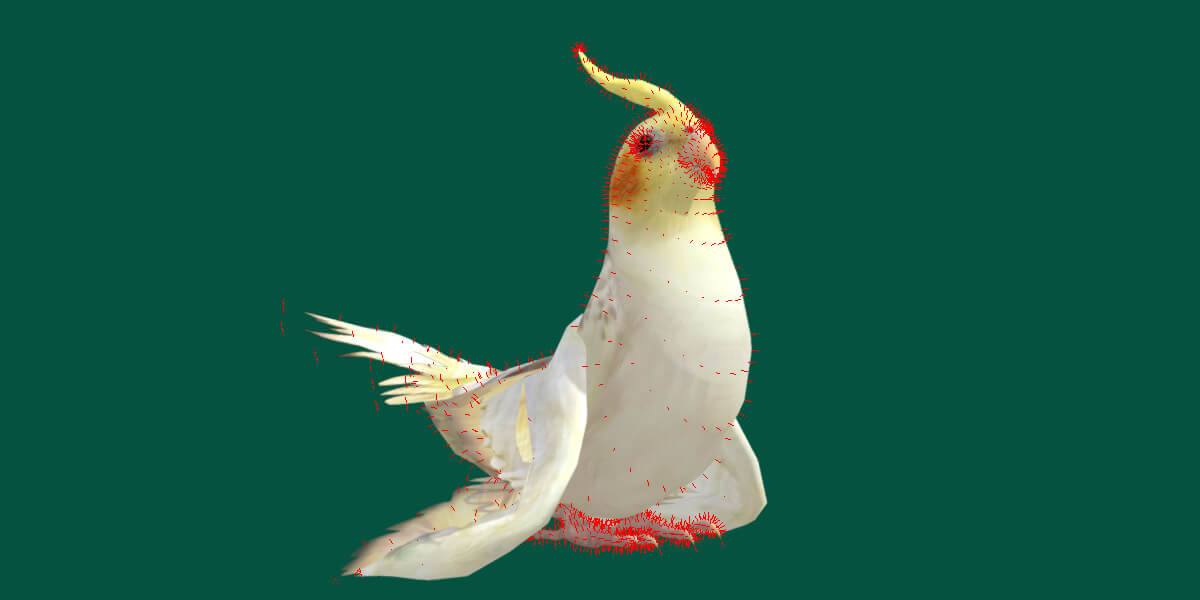 Cockatiel Parrot Bird - 3D Model by Nyilonelycompany