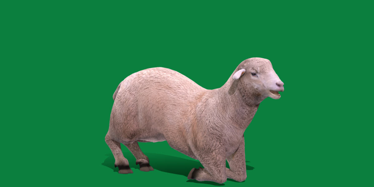 Columbia Sheep - 3D Model by Nyilonelycompany
