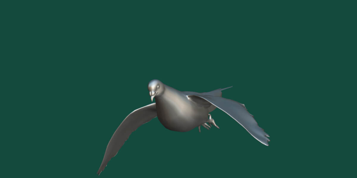 Columbidae White Dove Bird - 3D Model by Nyilonelycompany