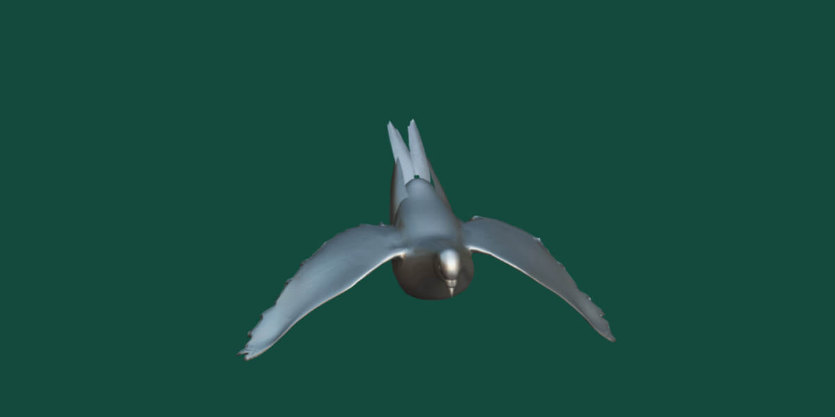 Columbidae White Dove Bird - 3D Model by Nyilonelycompany