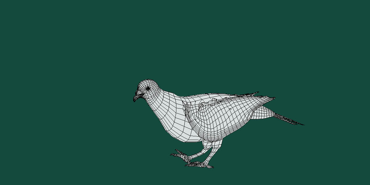 Columbidae White Dove Bird - 3D Model by Nyilonelycompany