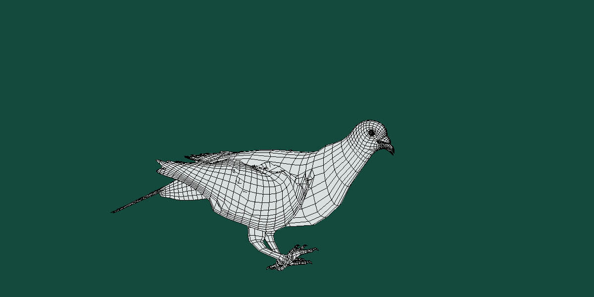 Columbidae White Dove Bird - 3D Model by Nyilonelycompany