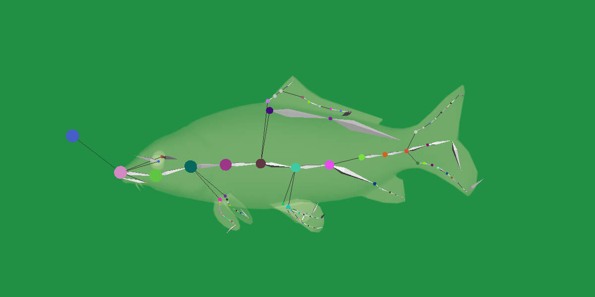 Common Eurasian Carp Fish - 3D Model by Nyilonelycompany