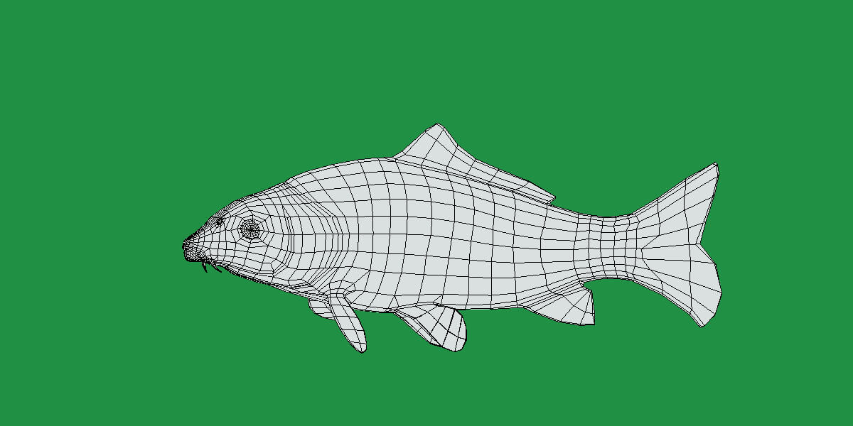 Common Eurasian Carp Fish - 3D Model by Nyilonelycompany