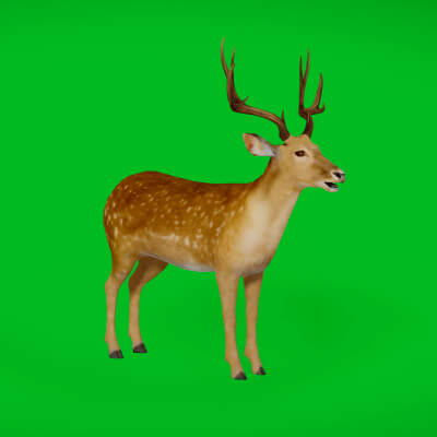 Common Fallow Deer - 3D Model by Nyilonelycompany