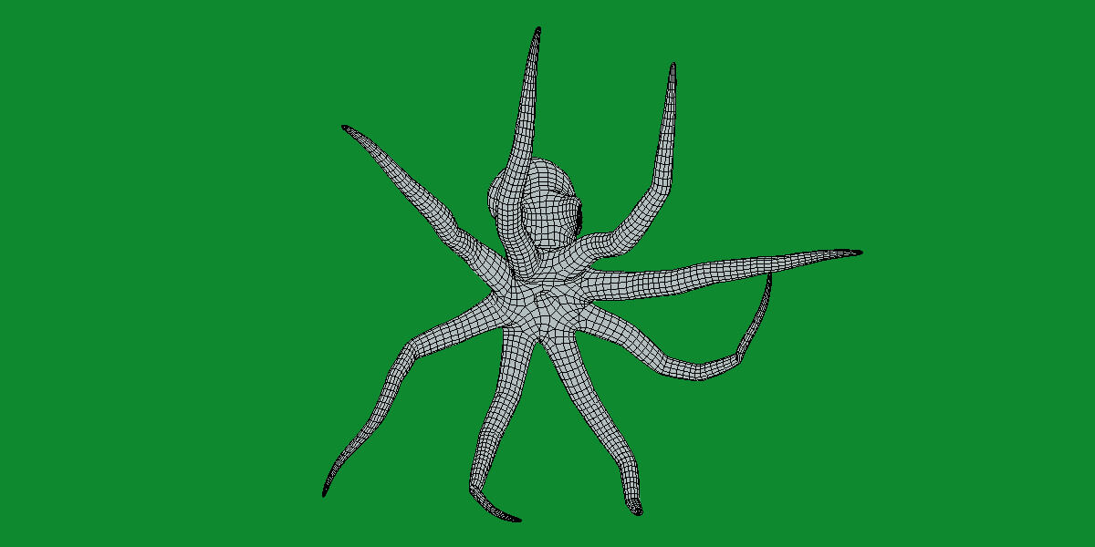 Common Octopus - 3D Model by Nyilonelycompany