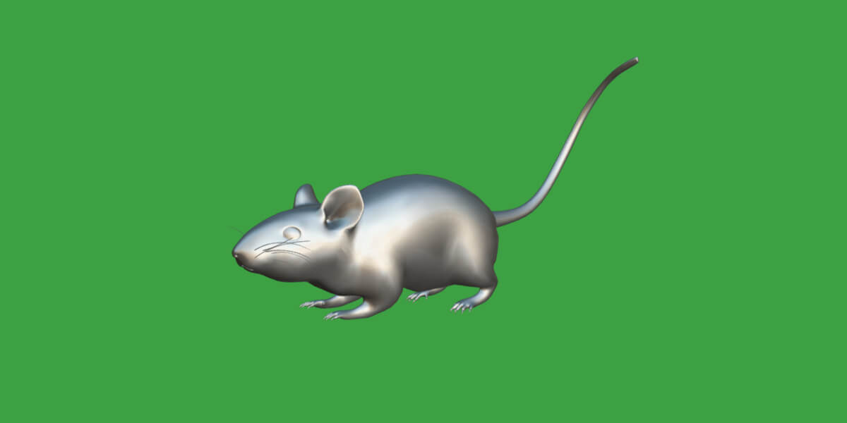Cotton Mouse Rodent - 3D Model by Nyilonelycompany