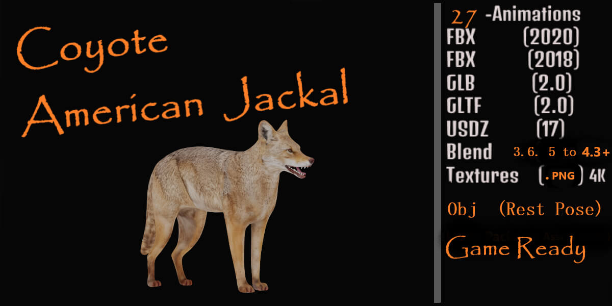 Coyote American Jackal - 3D Model by Nyilonelycompany
