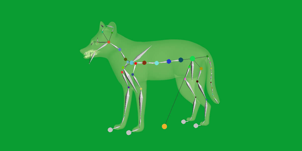 Coyote American Jackal - 3D Model by Nyilonelycompany