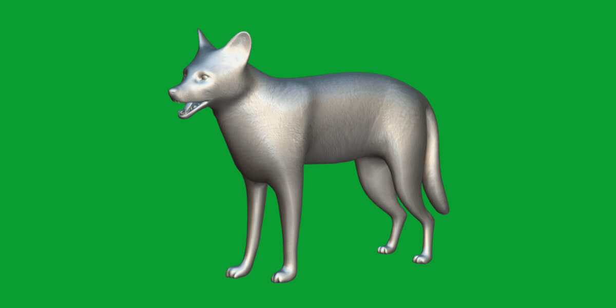 Coyote American Jackal - 3D Model by Nyilonelycompany