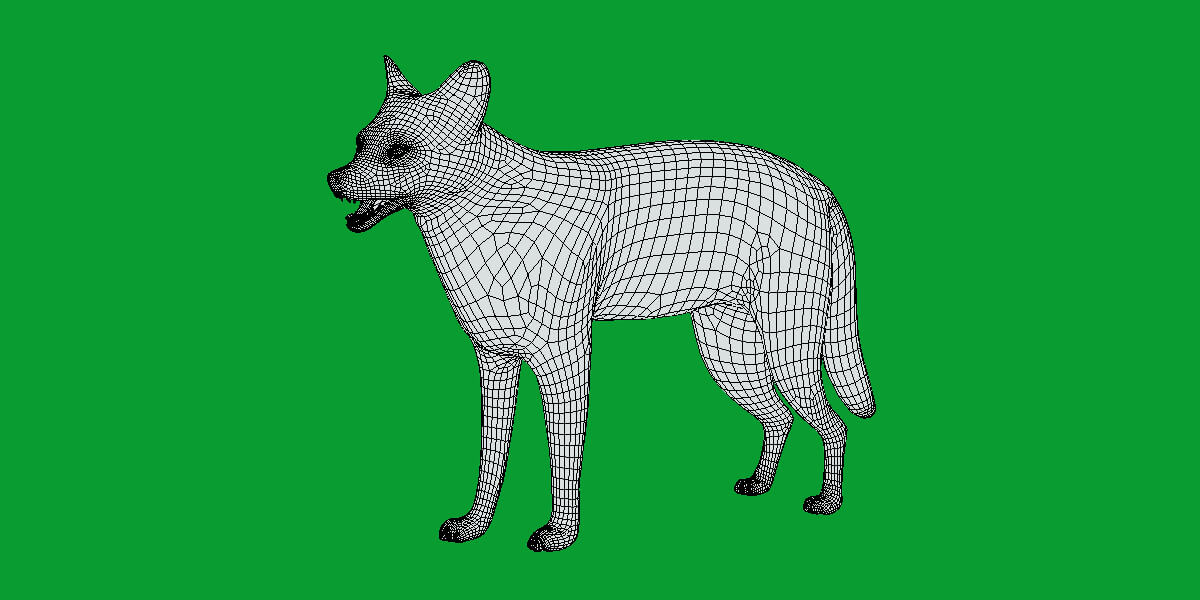 Coyote American Jackal - 3D Model by Nyilonelycompany