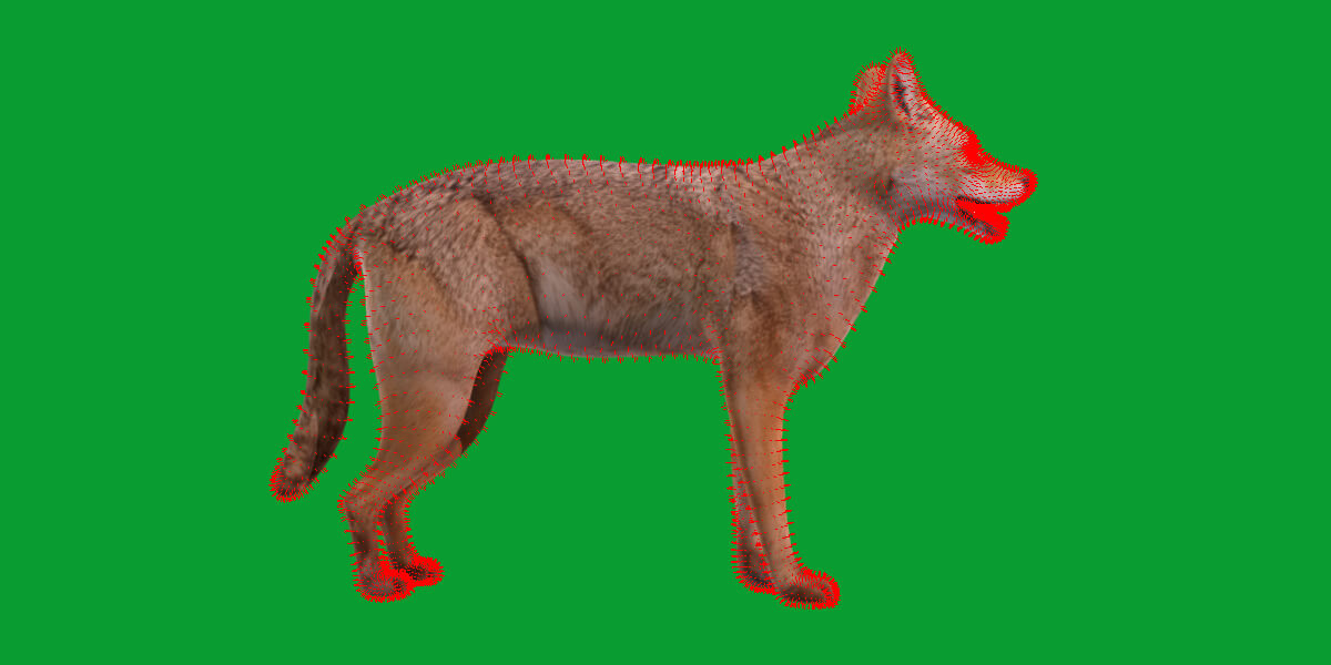 Coyote American Jackal - 3D Model by Nyilonelycompany