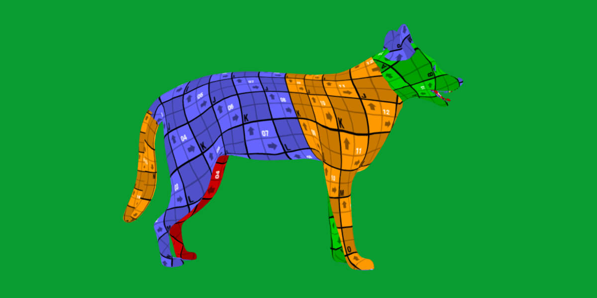 Coyote American Jackal - 3D Model by Nyilonelycompany