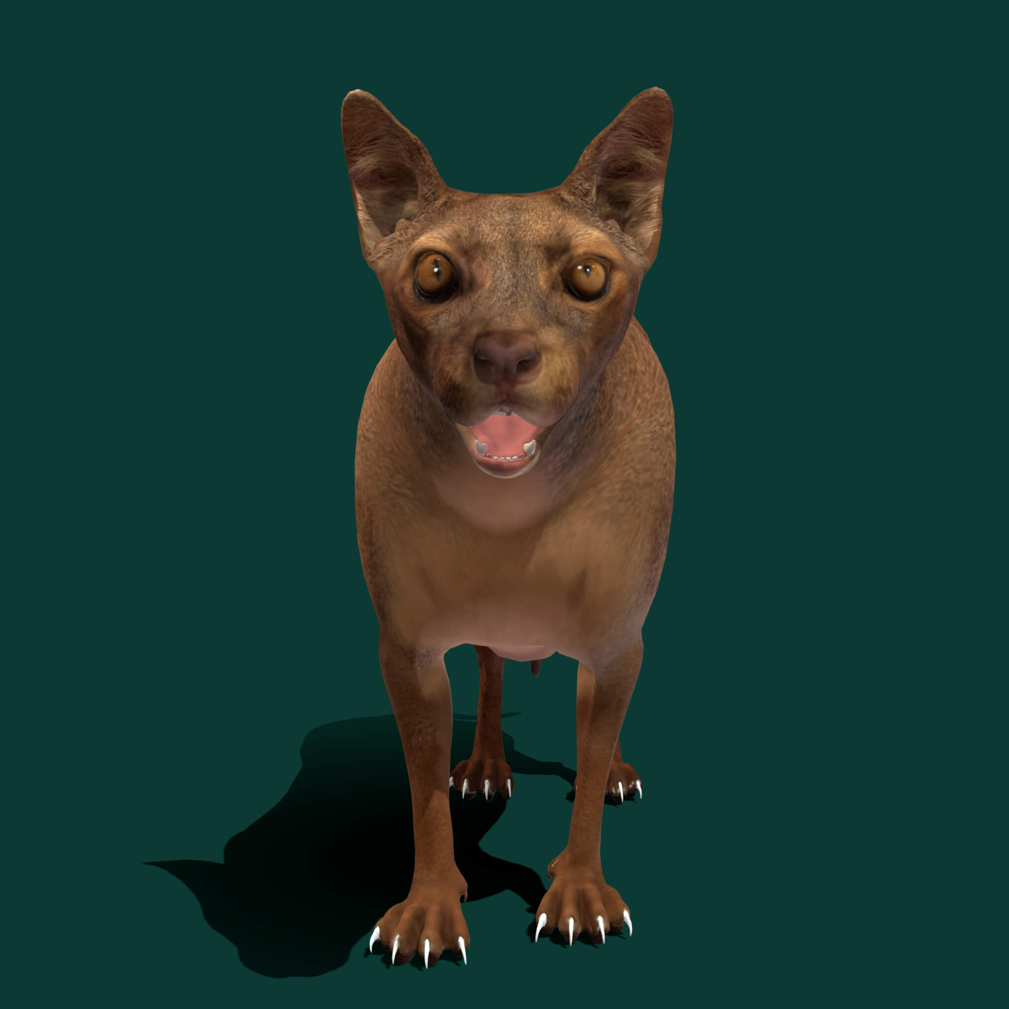 Cryptoprocta Ferox Fossa Endangered Animal - 3D Model by Nyilonelycompany