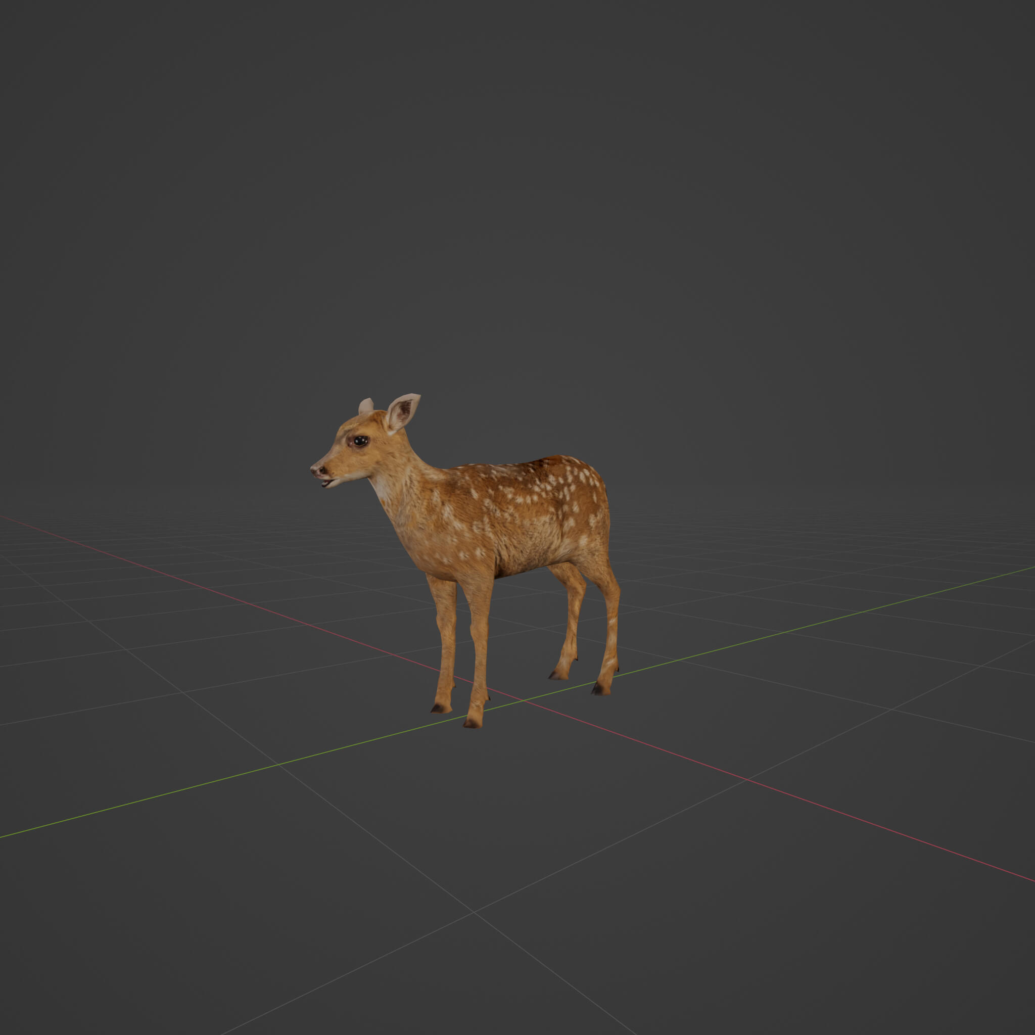 Deer Calf Fawn Animal - 3D Model by Nyilonelycompany