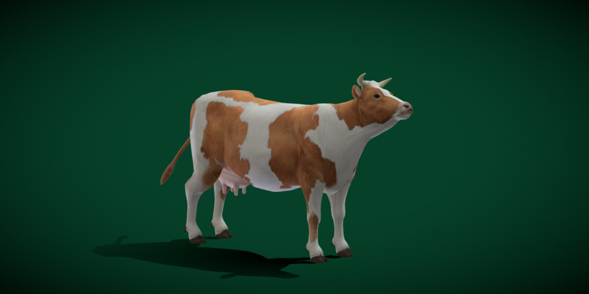 Diary Milk Cow - 3D Model by Nyilonelycompany