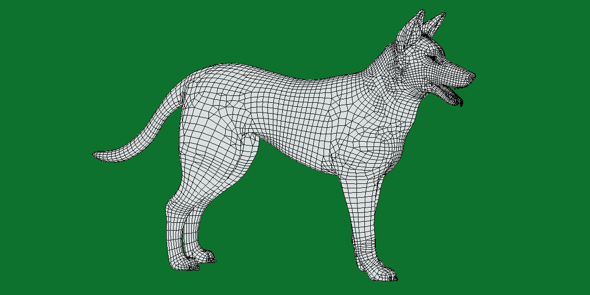 Dingo Wild Dog - 3D Model by Nyilonelycompany