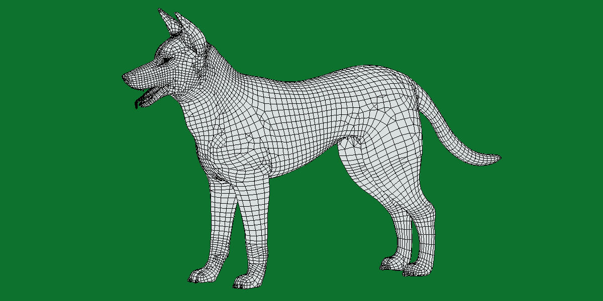 Dingo Wild Dog - 3D Model by Nyilonelycompany