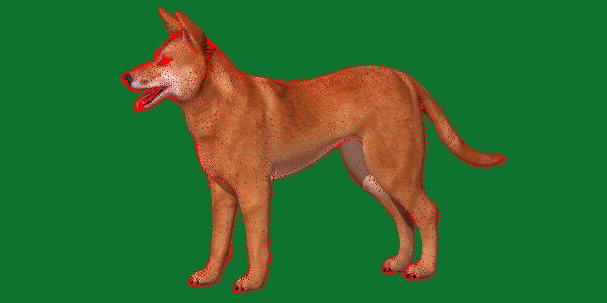 Dingo Wild Dog - 3D Model by Nyilonelycompany