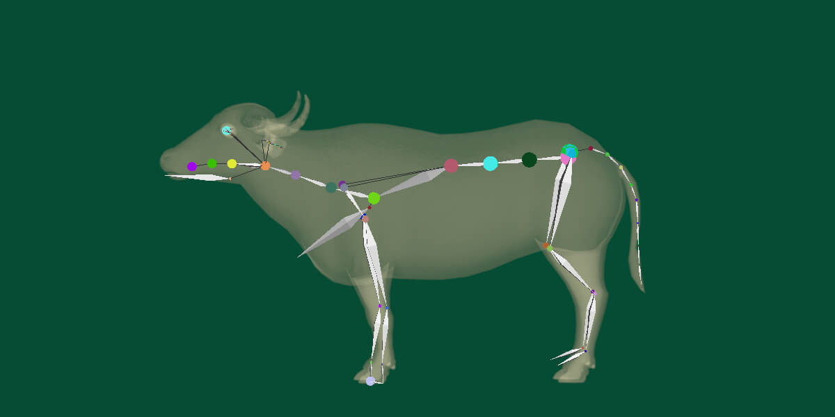 Domestic Asian Water Buffalo - 3D Model by Nyilonelycompany