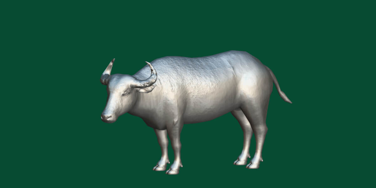Domestic Asian Water Buffalo - 3D Model by Nyilonelycompany