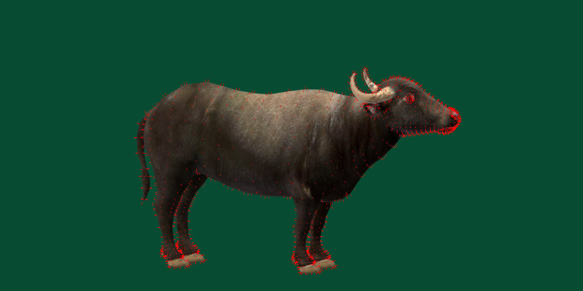 Domestic Asian Water Buffalo - 3D Model by Nyilonelycompany