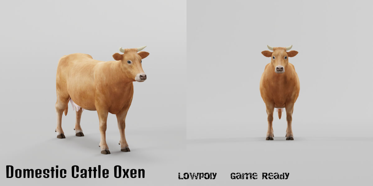 Domestic Cattle Oxen Animals - 3D Model by Nyilonelycompany