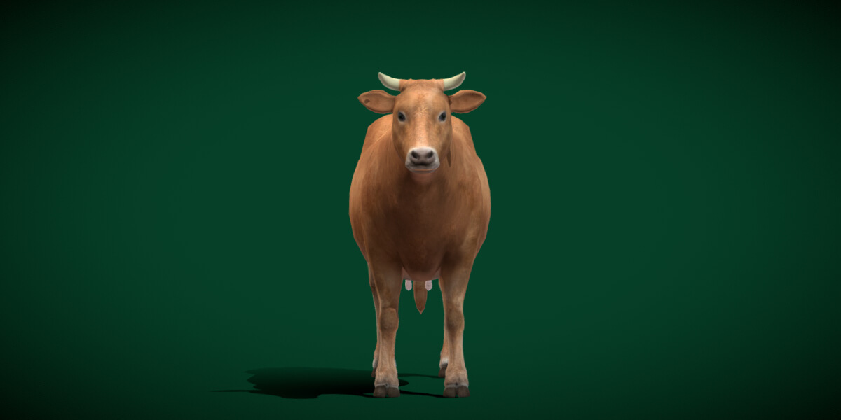 Domestic Cattle Oxen Animals - 3D Model by Nyilonelycompany