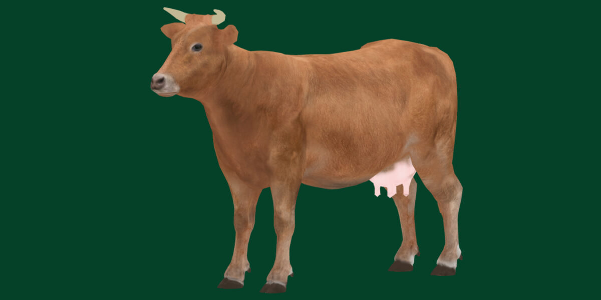 Domestic Cattle Oxen Animals - 3D Model by Nyilonelycompany