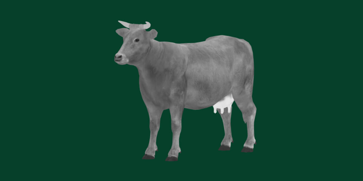 Domestic Cattle Oxen Animals - 3D Model by Nyilonelycompany