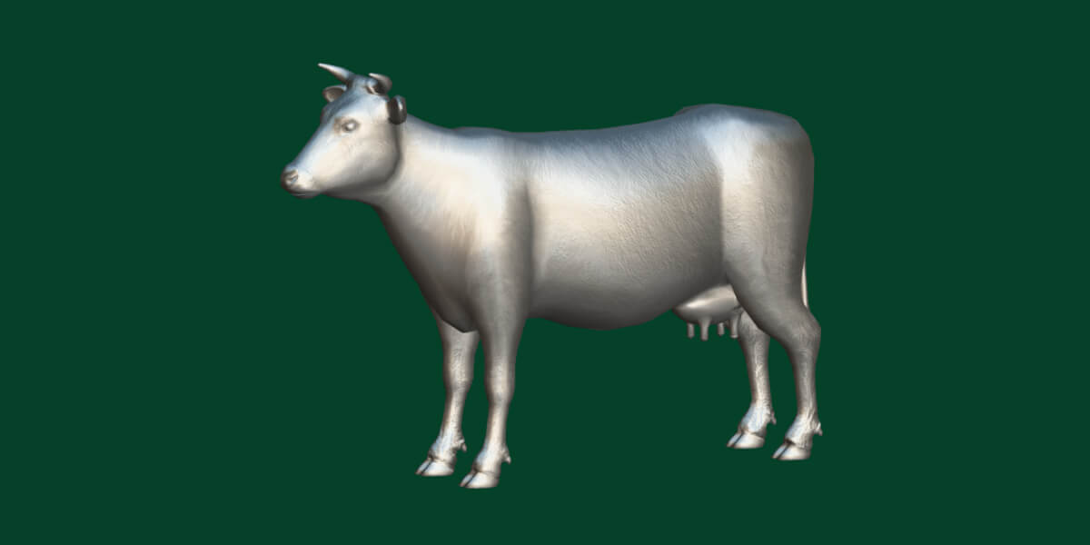 Domestic Cattle Oxen Animals - 3D Model by Nyilonelycompany