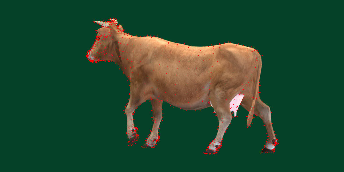 Domestic Cattle Oxen Animals - 3D Model by Nyilonelycompany