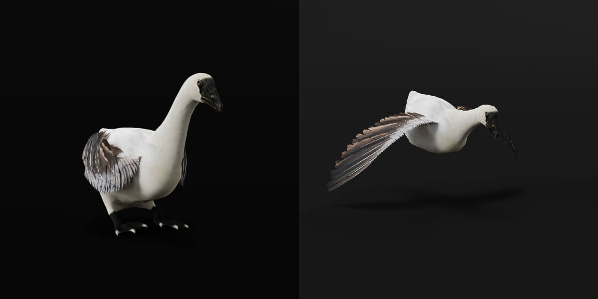 Domestic Goose Bird - 3D Model by Nyilonelycompany