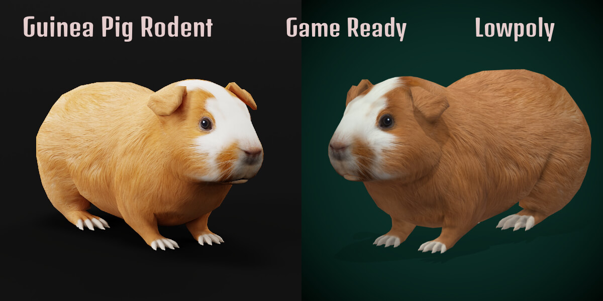 Domestic Guinea Pig Rodent - 3D Model by Nyilonelycompany