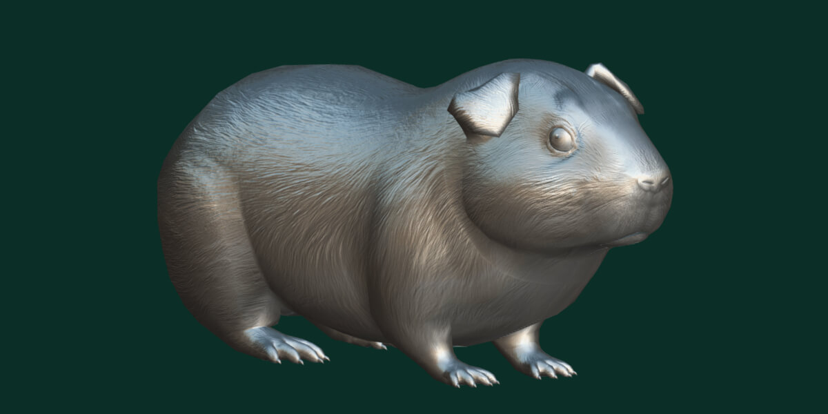 Domestic Guinea Pig Rodent - 3D Model by Nyilonelycompany