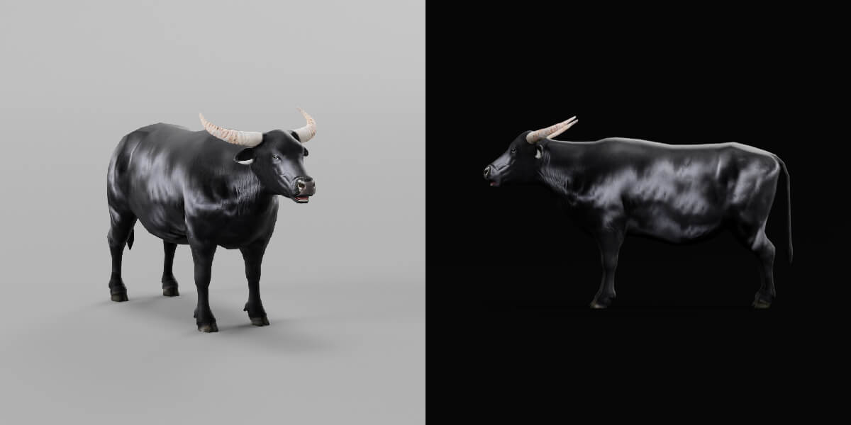 Domestic Water Buffalo - 3D Model by Nyilonelycompany