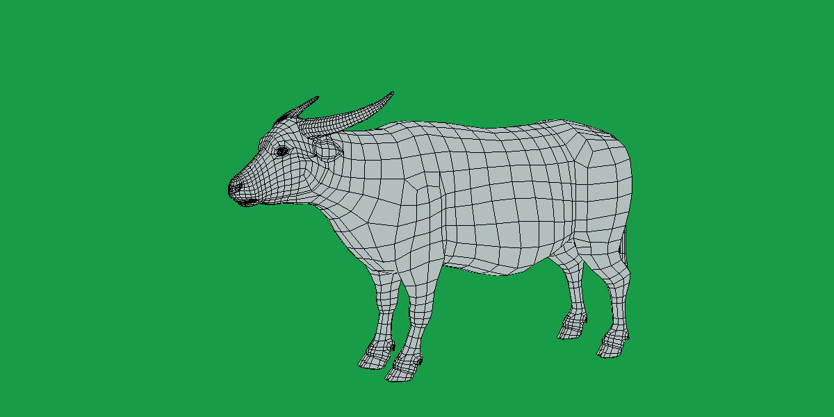 Domestic Water Buffalo - 3D Model by Nyilonelycompany