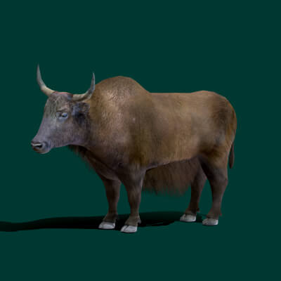 Nyilonelycompany - Download 3D Models at RenderHub