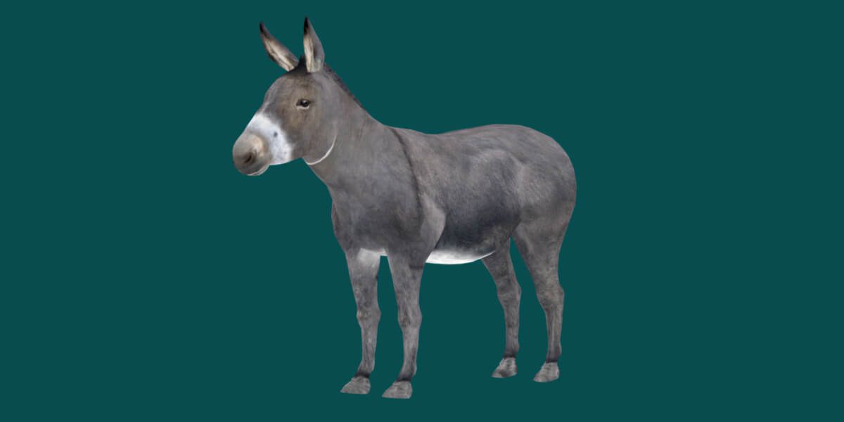 Donkey Animals - 3D Model by Nyilonelycompany