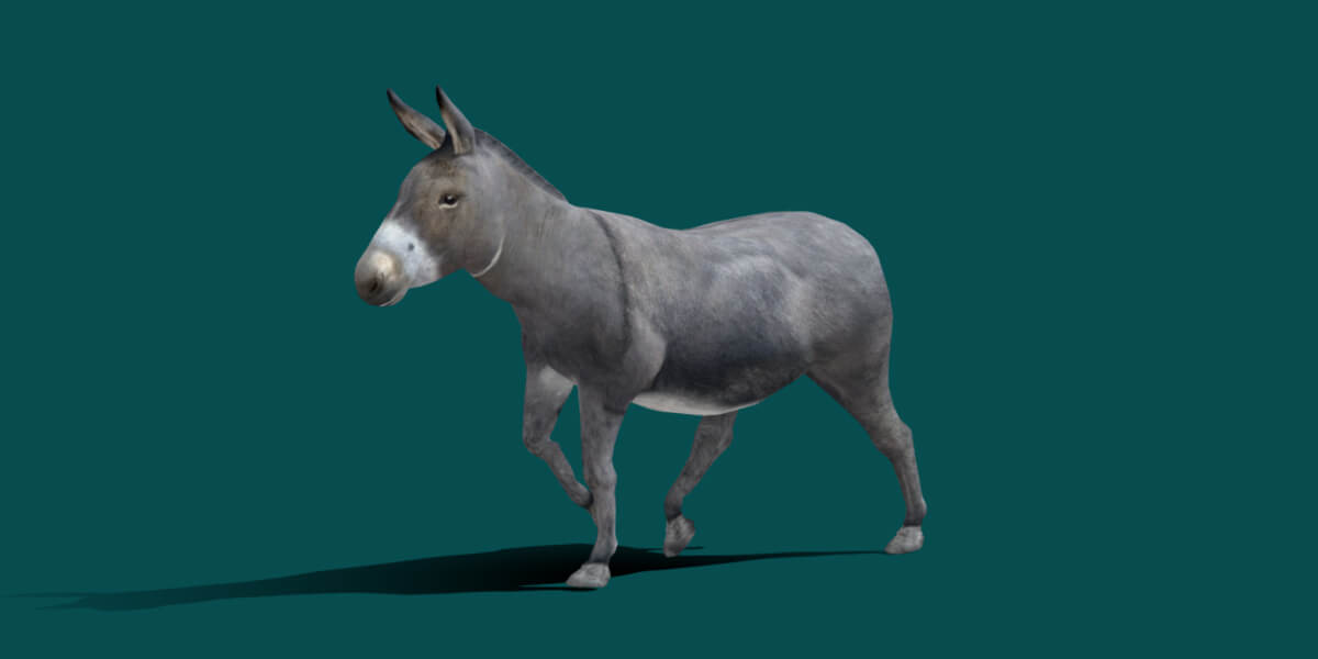 Donkey Animals Game Ready - 3D Model by Nyilonelycompany
