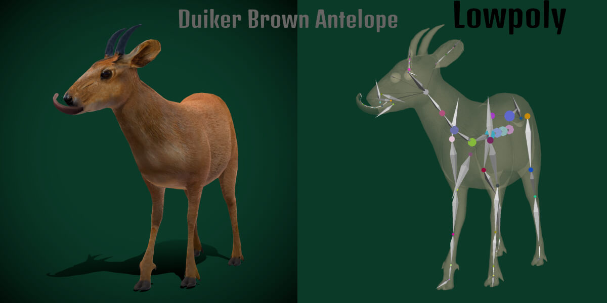 Duiker Brown Antelope Animal - 3D Model by Nyilonelycompany
