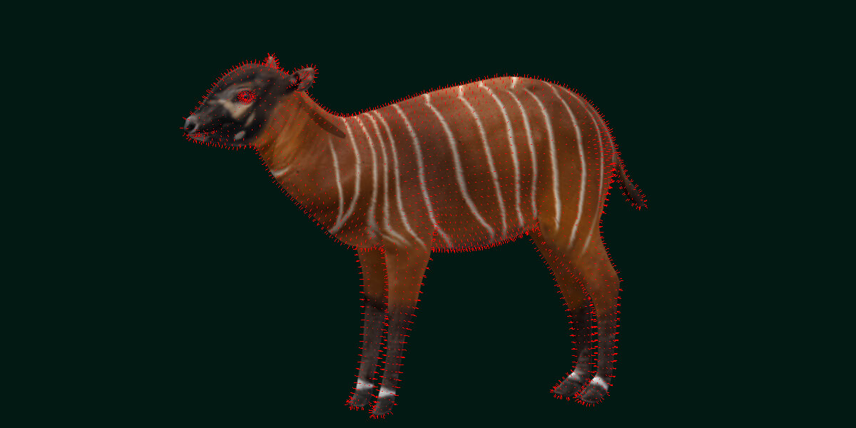 Eastern Bongo Calf Antelope - 3D Model by Nyilonelycompany