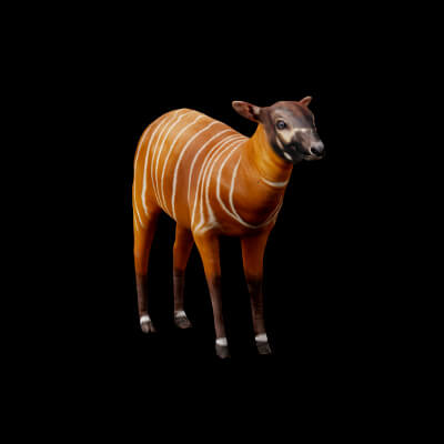 Eastern Bongo Calf Antelope - 3D Model by Nyilonelycompany